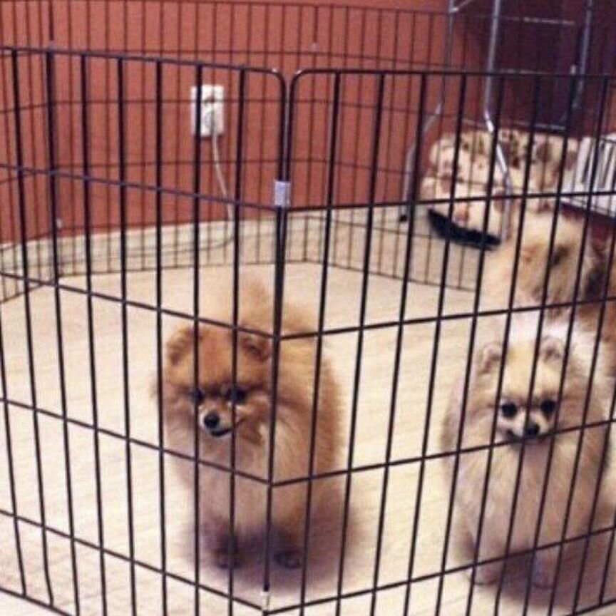 Вольер для собак