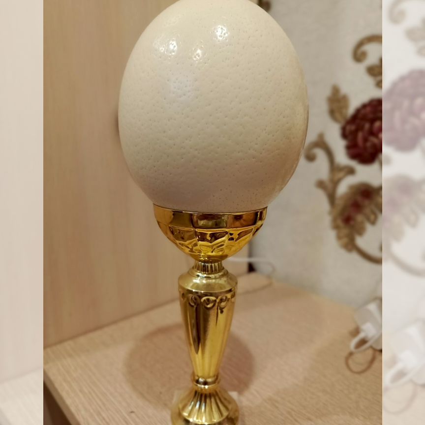 Страусиное яйцо