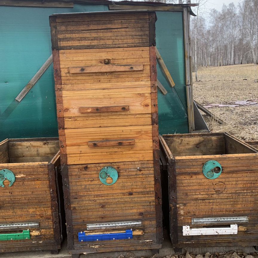 Ульи на 10 рамок