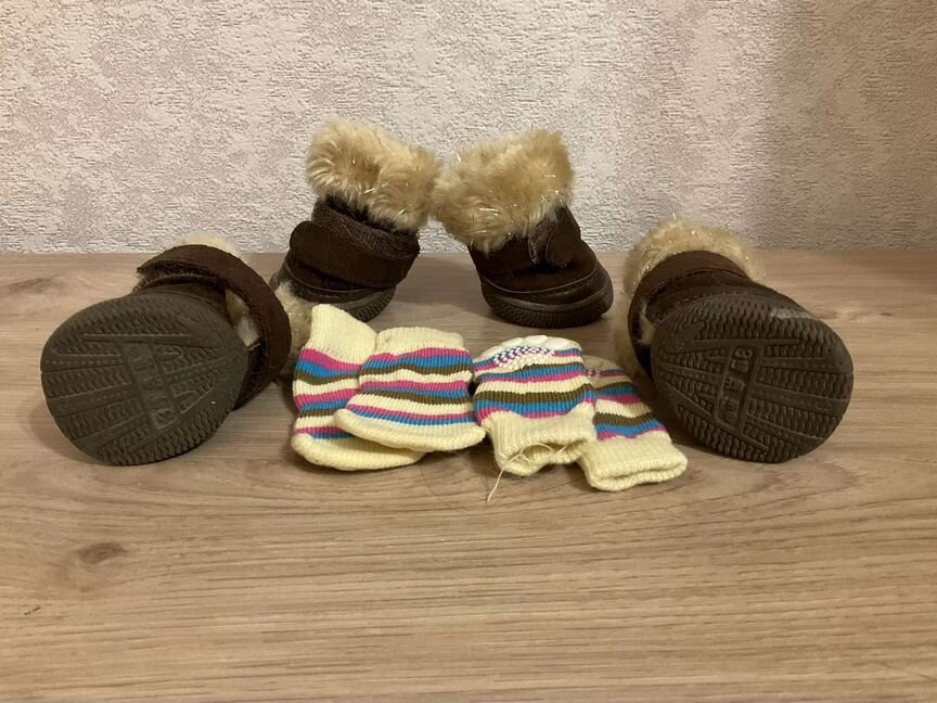 Обувь для маленьких собак