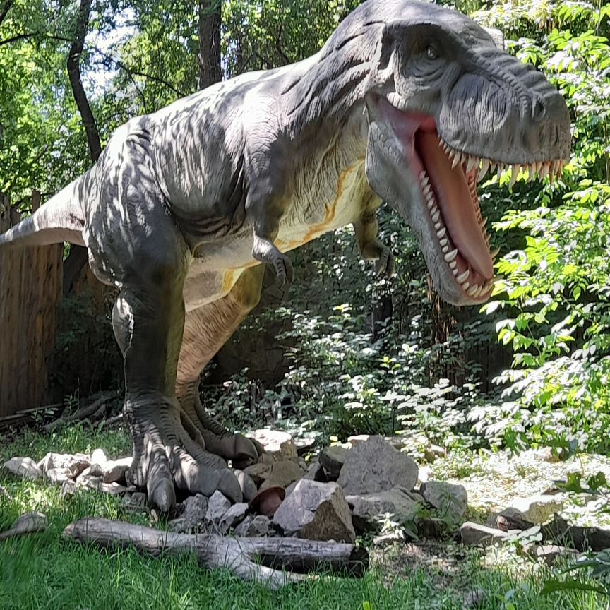 Продам гусей на закол