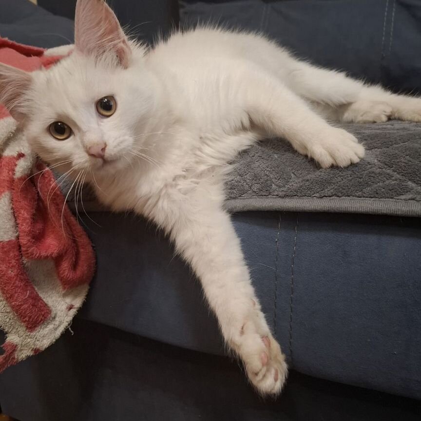 Красивый малыш