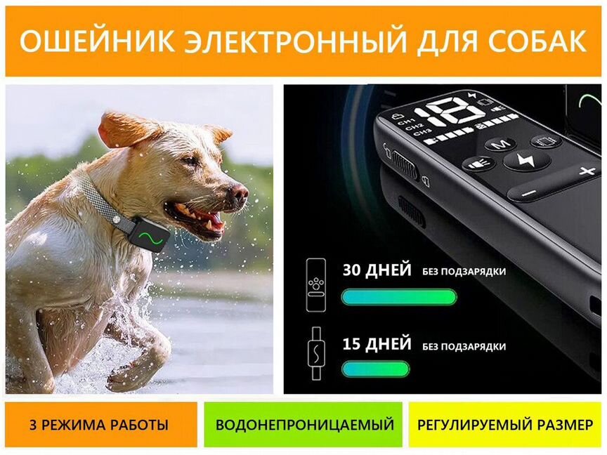 Новые ошейники для собак