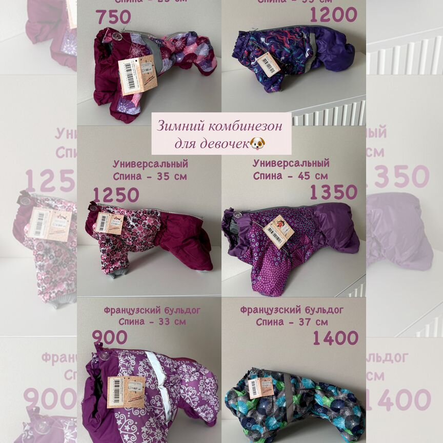 Одежда для собак