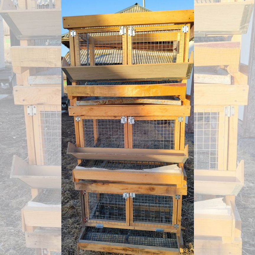 Клетка для куриц