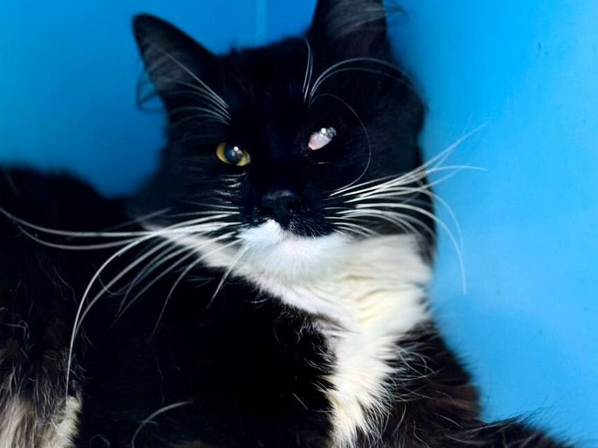 Ожидание невыносимо