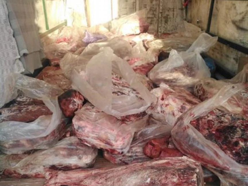 Мясо обрези для собак