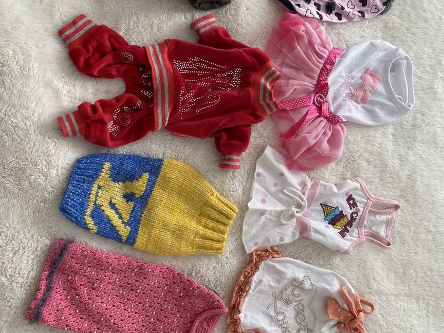 Одежда для собак