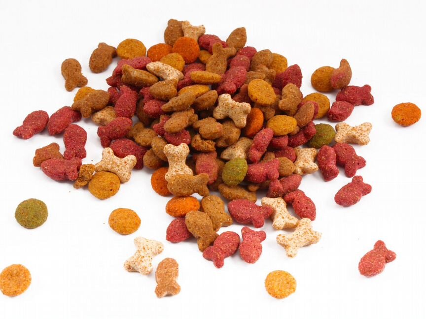 Корм для собак и кошек оптом