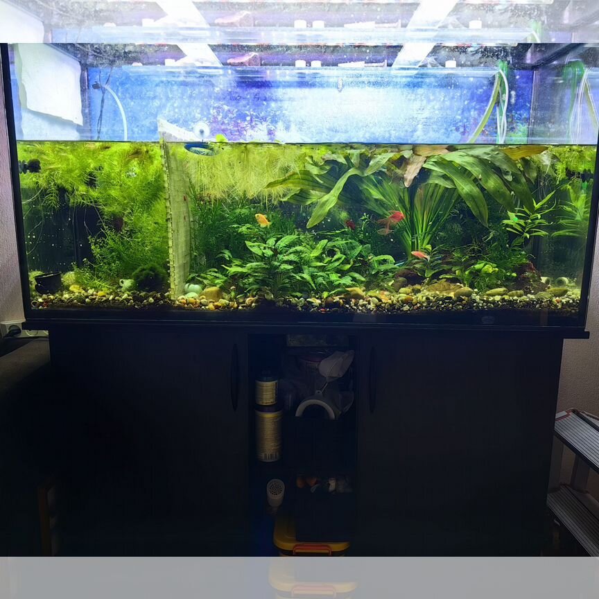 Аквариум 300 литров