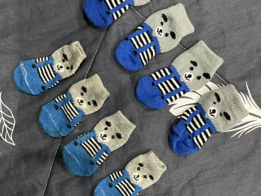 Носки для животных