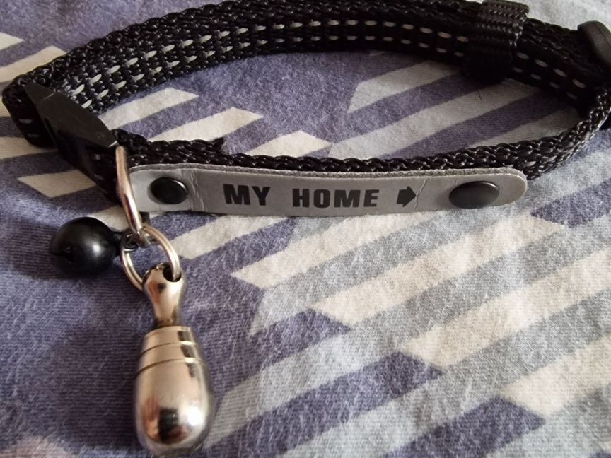 Ошейник для кошек и собак светоотражающий