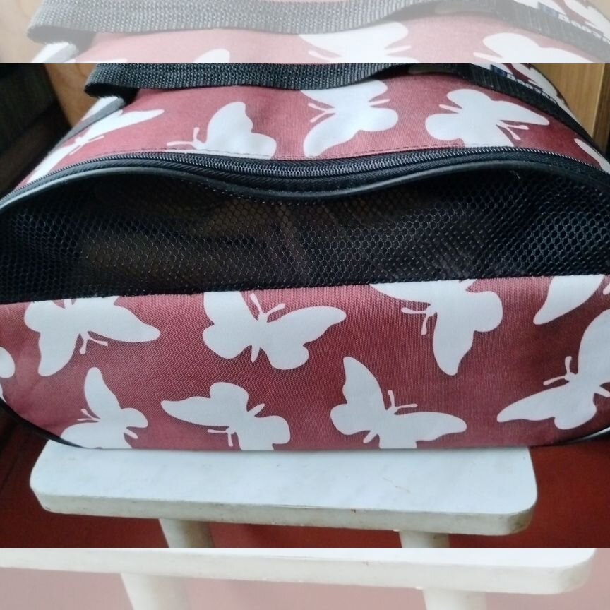 Переноска Дарэлл