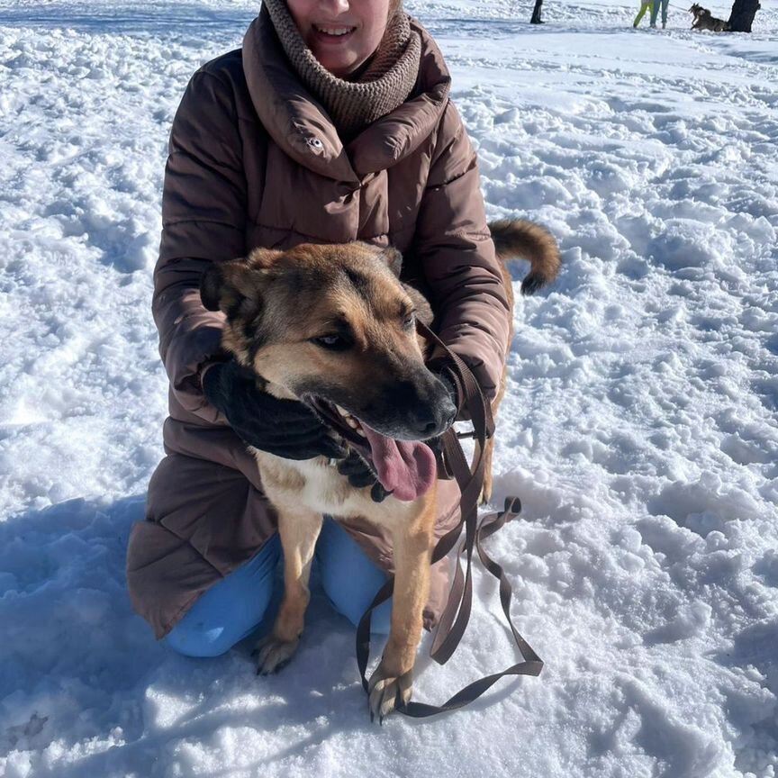 Шкипер друг для человека