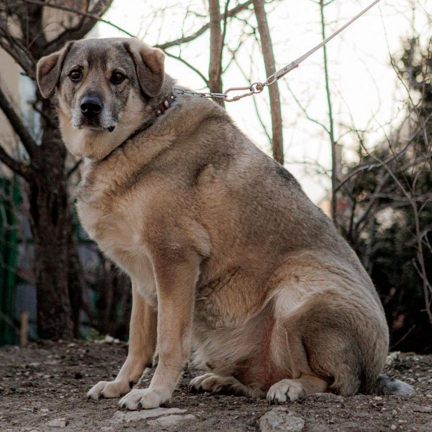 Я остался совсем один