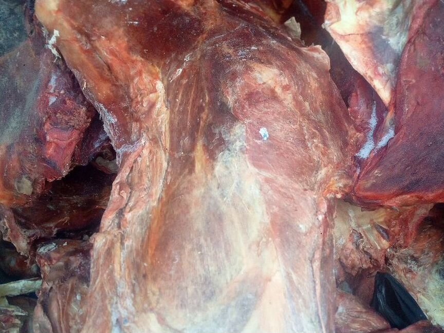 Туша говядины собакам