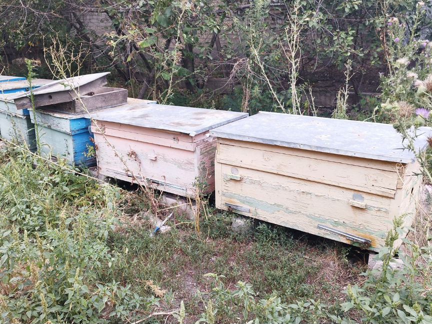 Улики (лежаки)