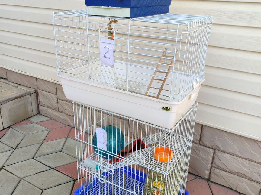 Клетка для грызунов бу