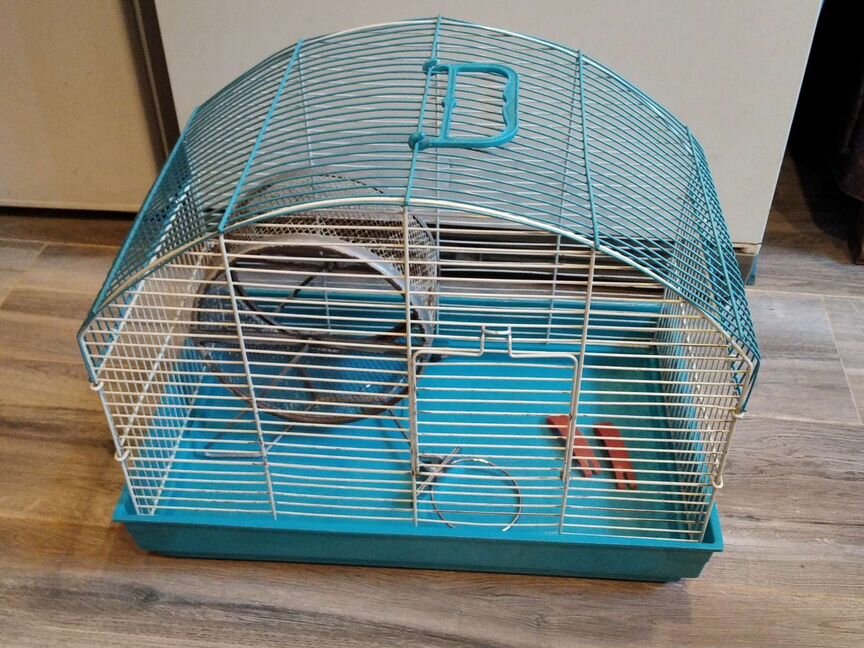 Клетка