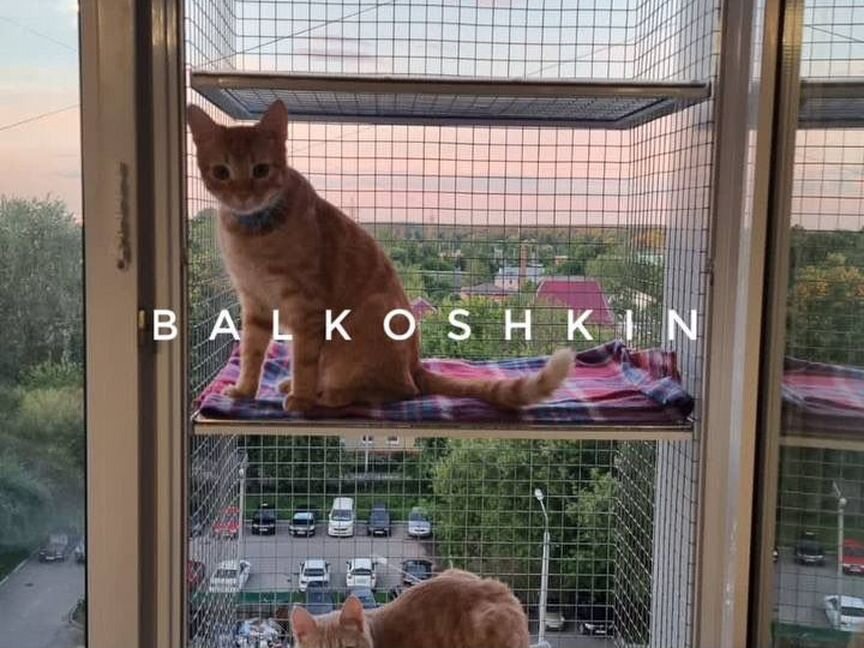 Балкон для кошек,решетка антикошка,кошачий балкон
