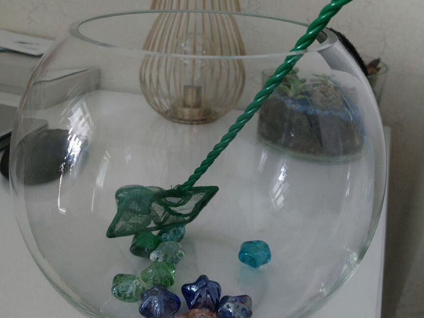 Аквариум+ автокормушка