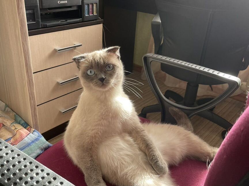 Котик для вязки