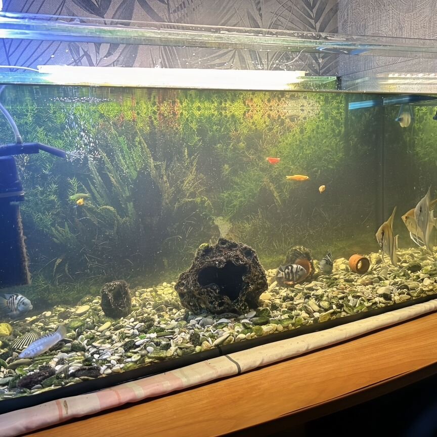 Аквариум с тумбой 100л