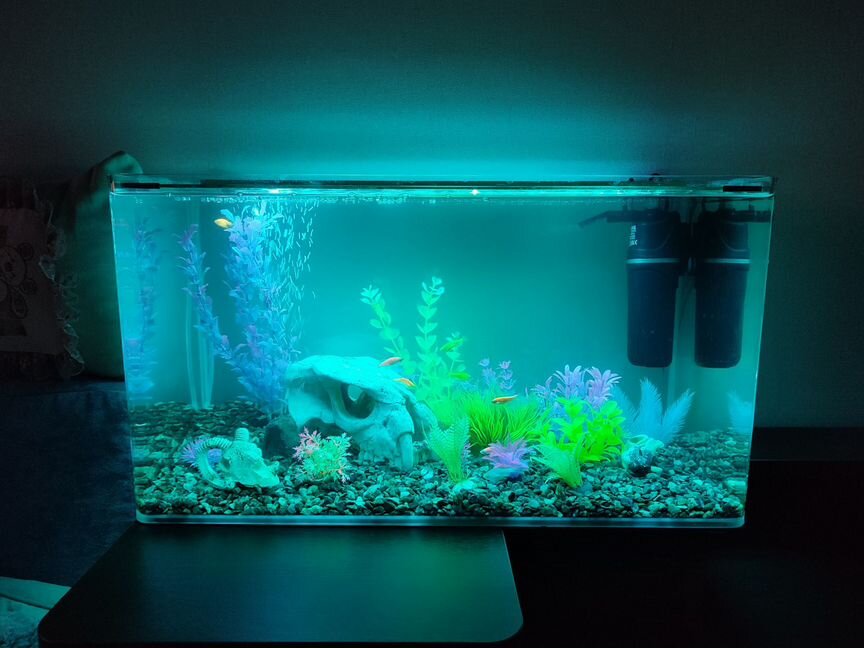 Аквариум 60 литров с рыбками