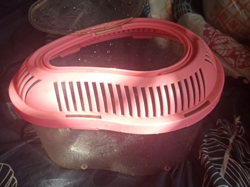 Переноска для черепах