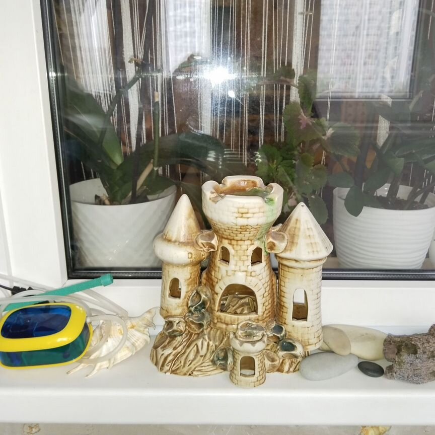 Пакетом для аквариума