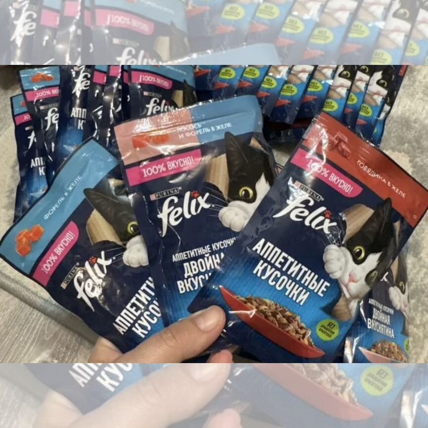Felix влажный корм