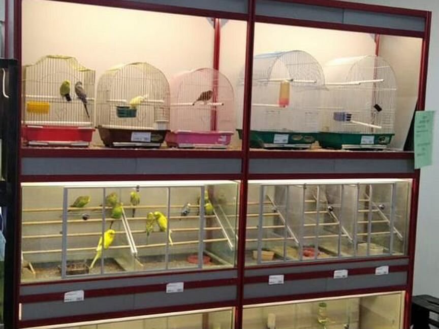 Оборудование для зоомагазина стойка стеллаж