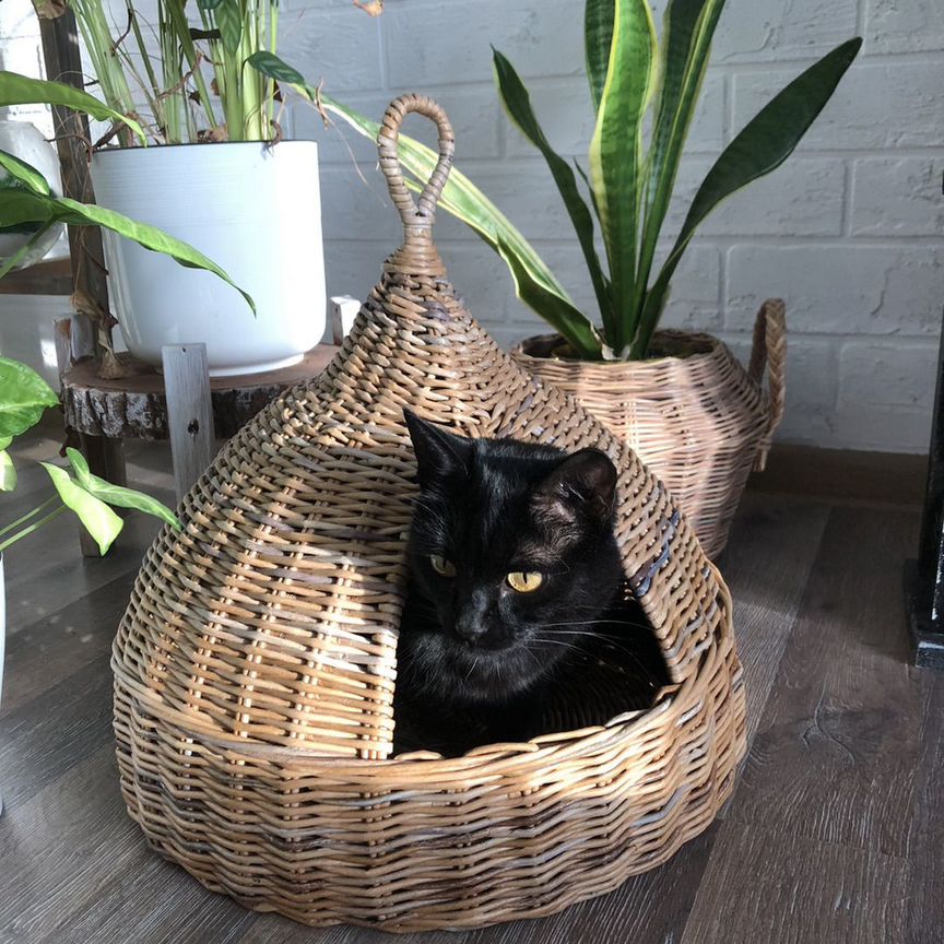 Лежанка для кошек