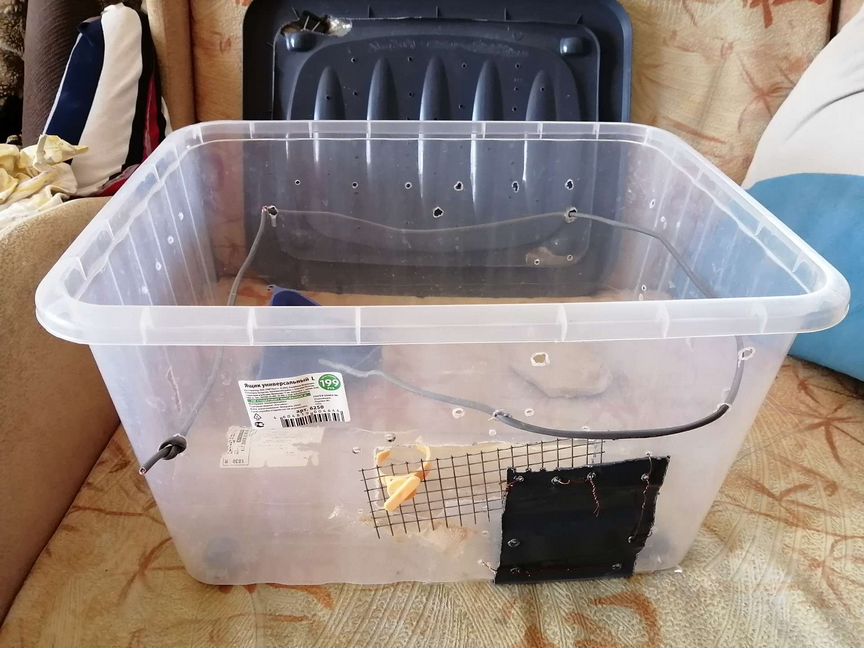 Контейнер для грызунов