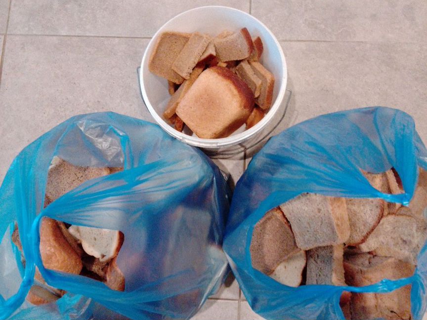 Отдам бесплатно сухари