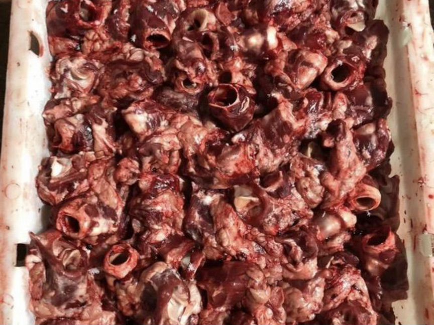 Обрезки говядины для собак