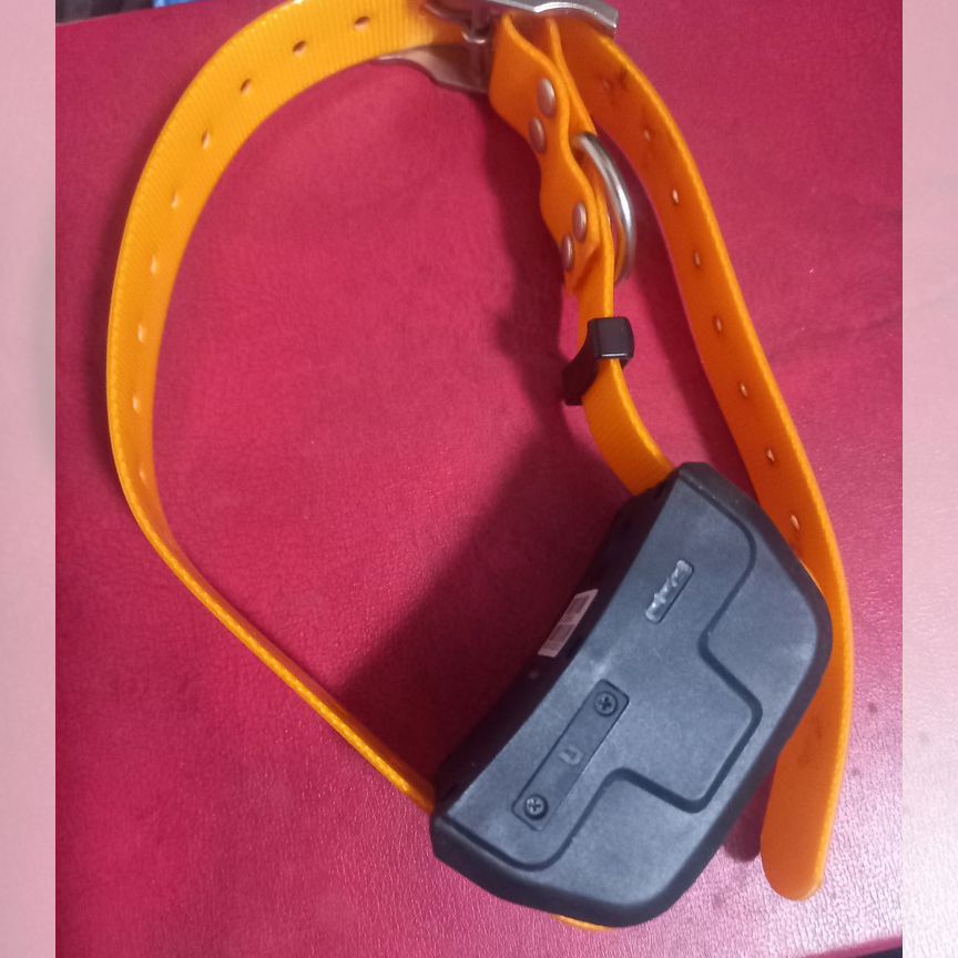 Ошейник для собак с gps