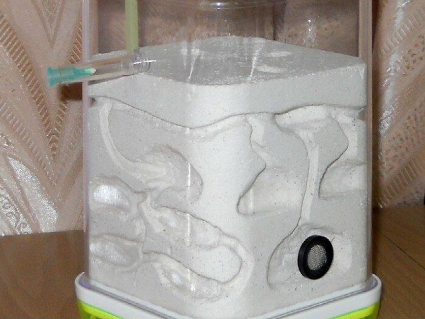 Гипсовые формикарии на заказ