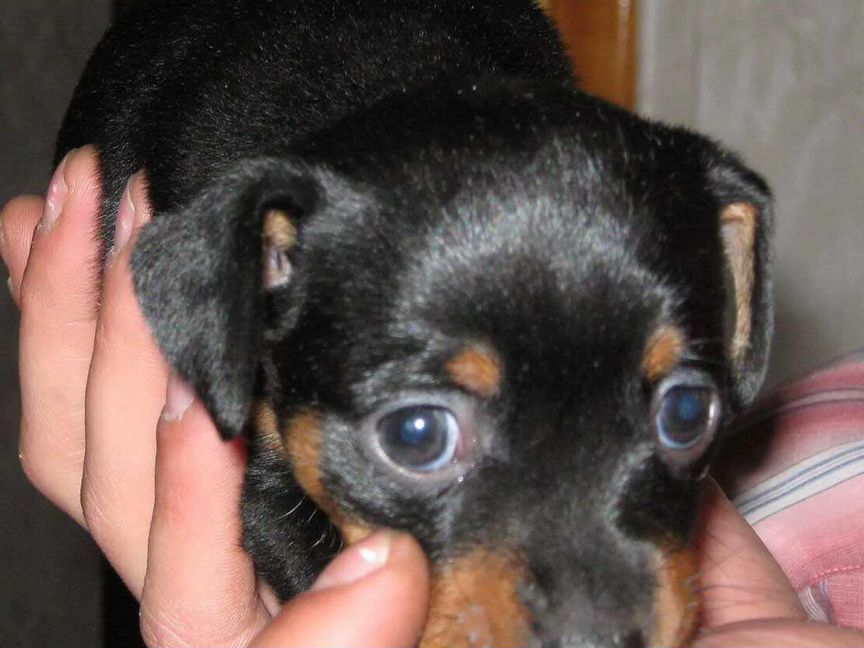 Будут маленькими