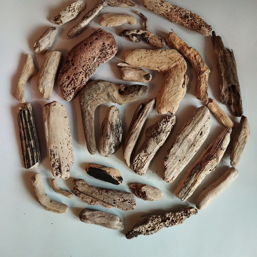 Коряга дрифтвуд