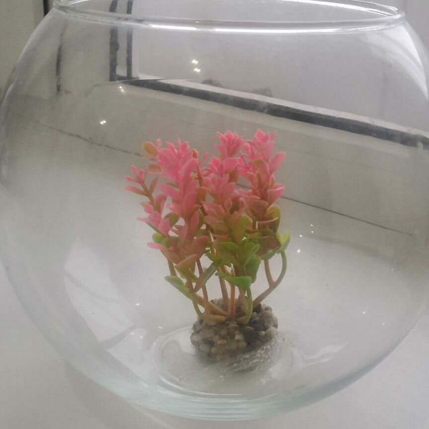 Аквариум шар 3л