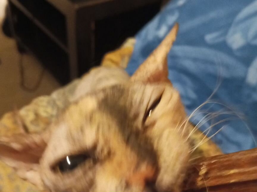 Мешок с костями