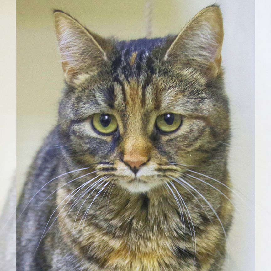 Скромная и молодая Дакота ищет родного человека