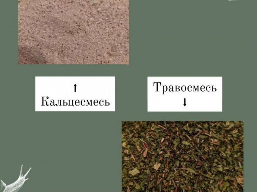 Кальцесмесь, травосмесь, подкорке для улиток