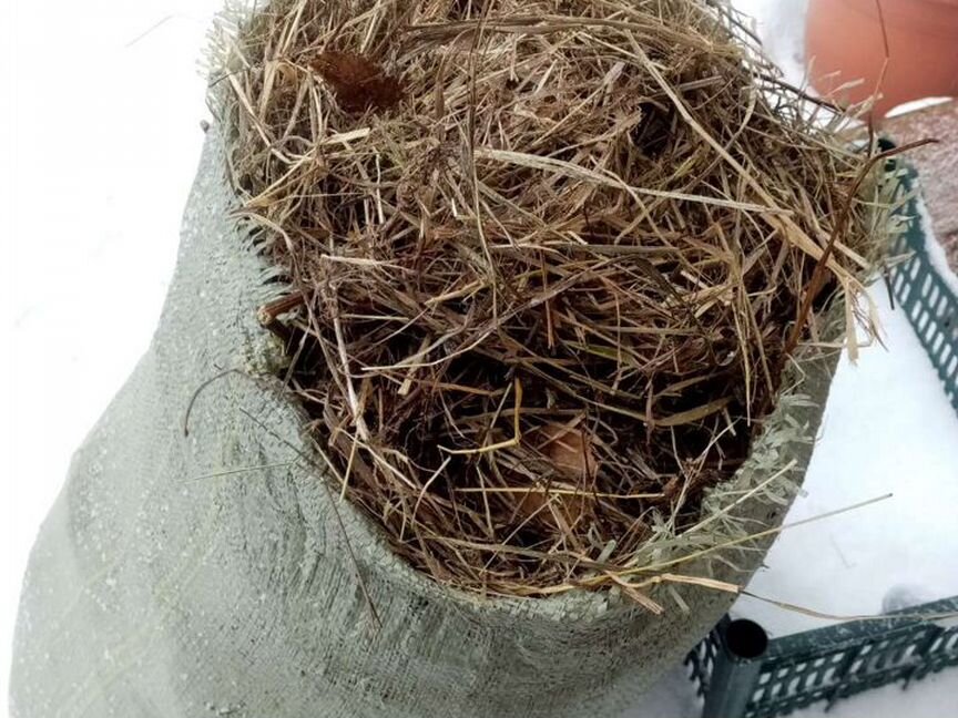 Сено на подстилку,мульчу