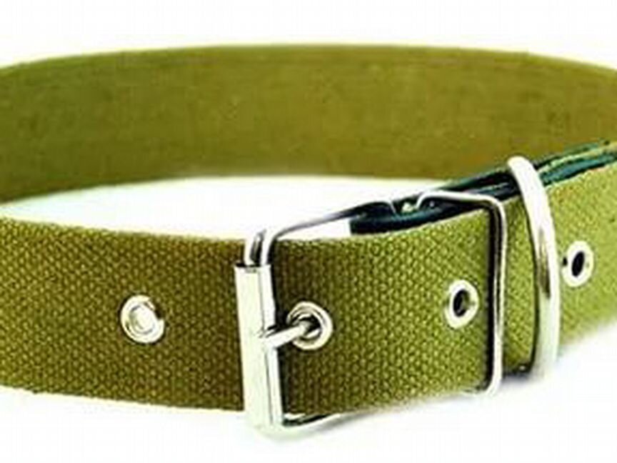Ошейник брезентовый, 35 мм