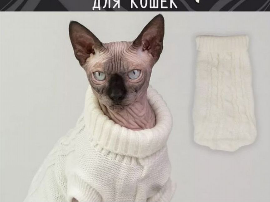 Свитер для котенка сфинкса