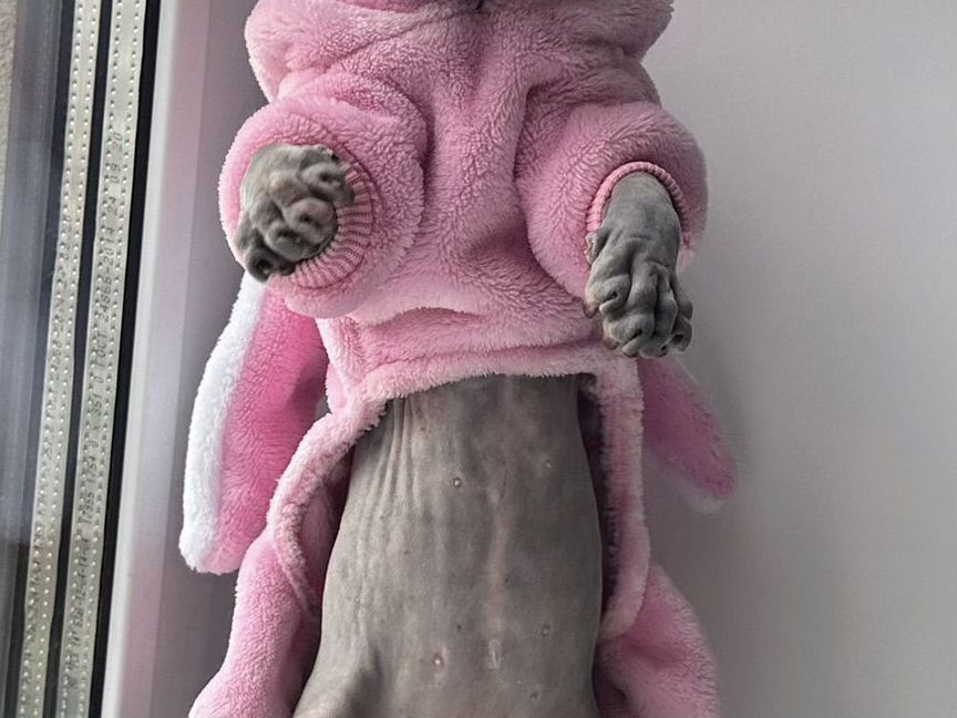 Красивая топовая девочка