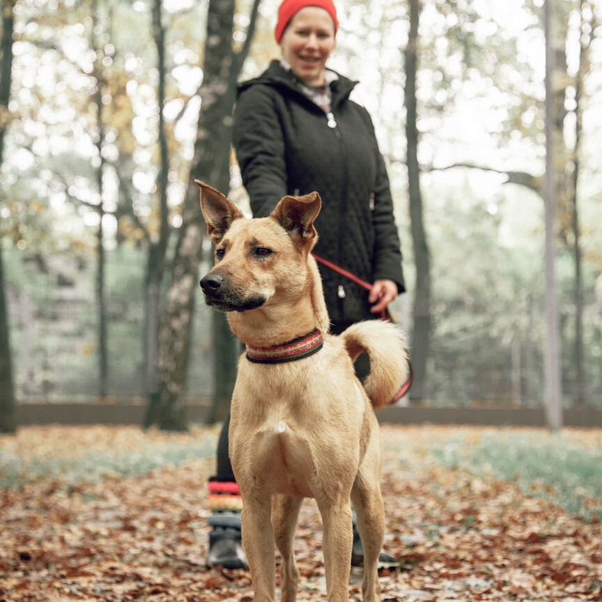 Дайте Арамису шанс на счастливое будущее
