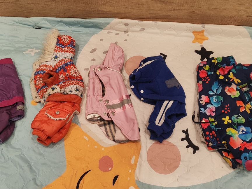 Одежда для маленьких собак xs